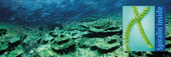 Spirularin® Nail Regeneration Starter Pack » Aesthetikonzept